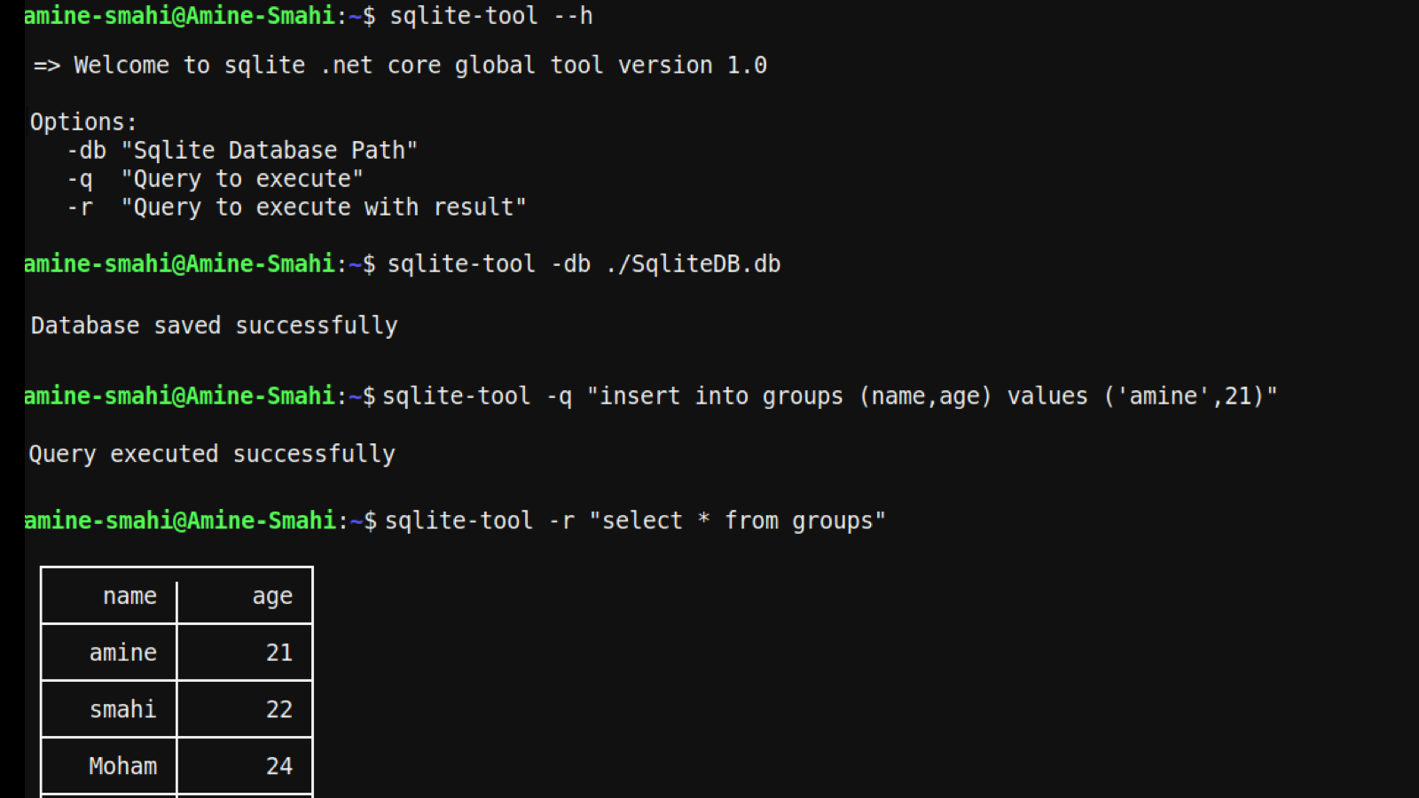 Sqlite Global Tool - BuiltWithDot.Net